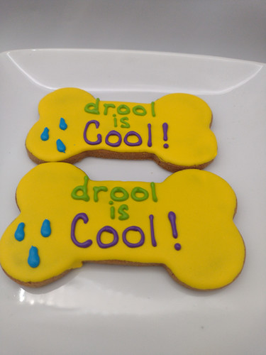 Large Drool is Cool Bones - 12/CASE | HoundstoothPetBakery