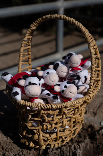 ABAR Super Cow | Alma Bonita Animals