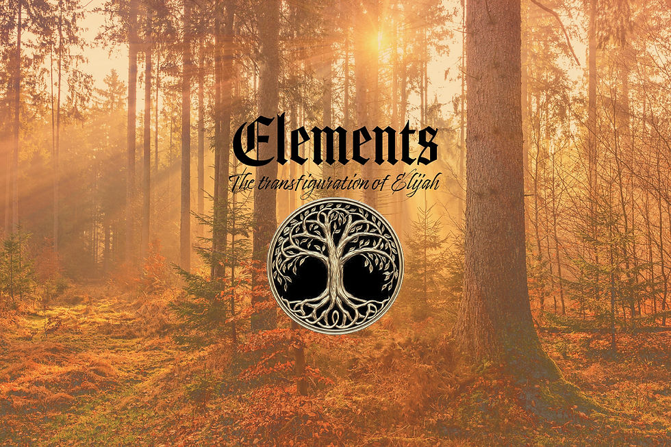 Home | Elements The Novel