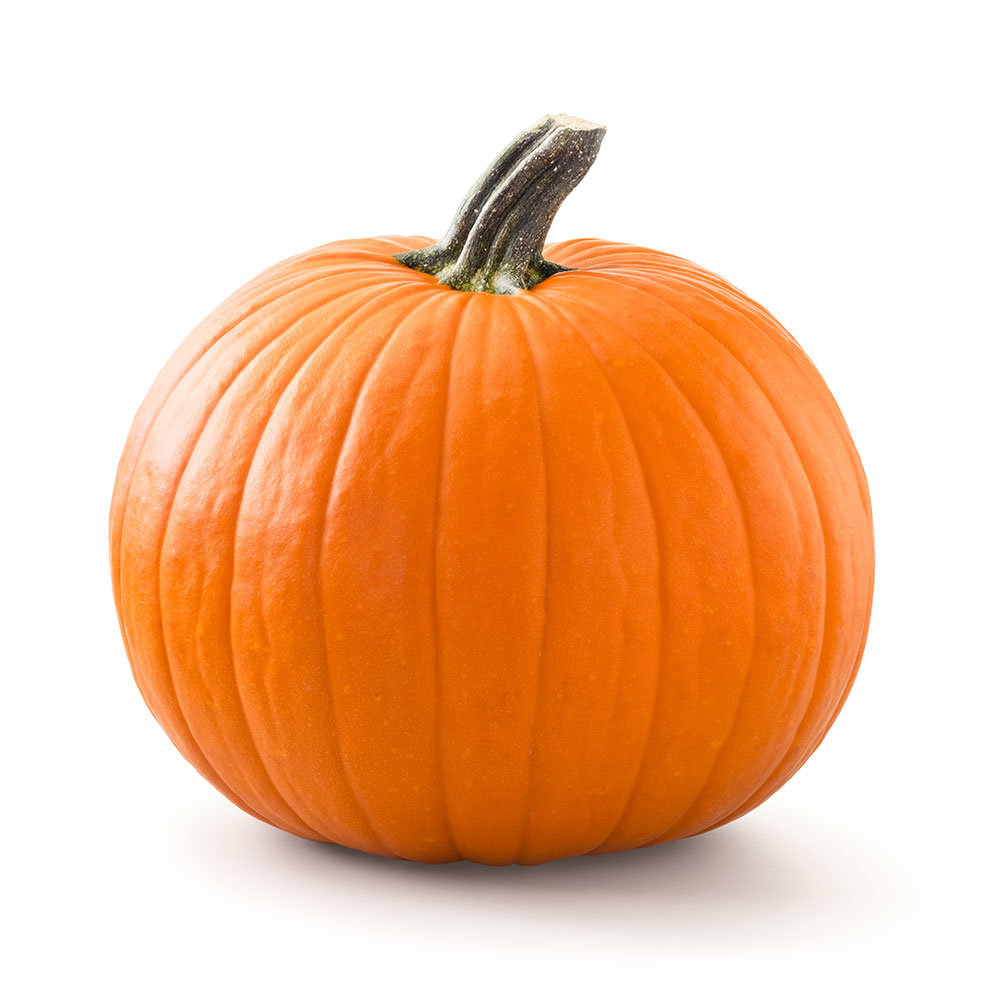 PUMPKIN