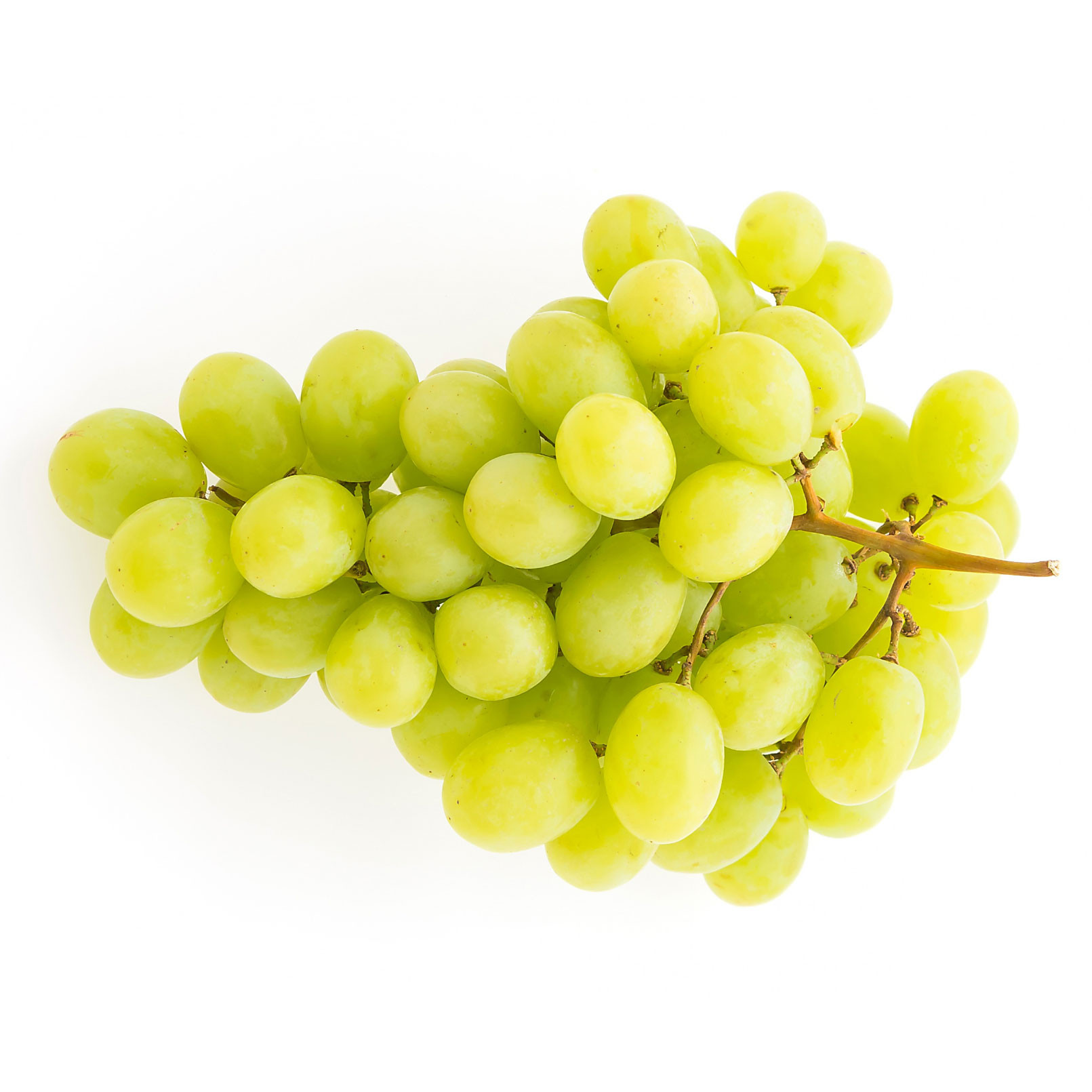 WHITE GRAPE