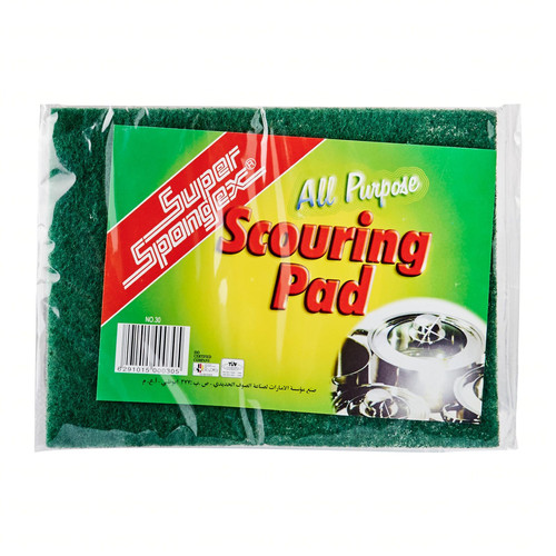 Big Scouring Pad, 20 X 15CM | Hardware Online