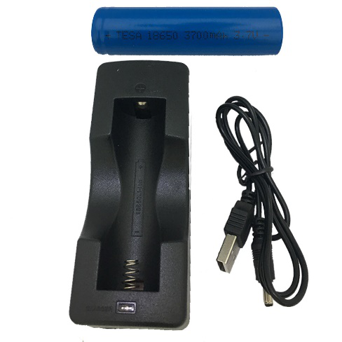 LITHIUM BATTERY DUAL CHARGER 18650 - TESA | Hardware Online