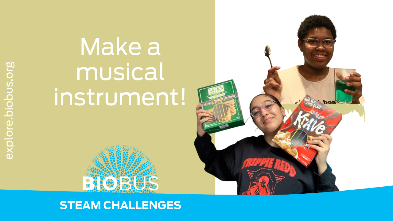 Make a musical instrument! | BioBus STEAM Challenges