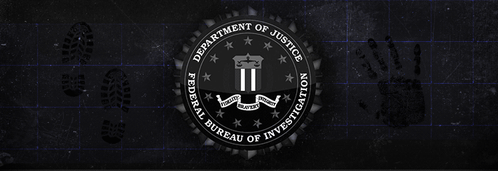 Rang-System | FIB-Majestic