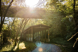 Triangle Trails | Wake County Greenways