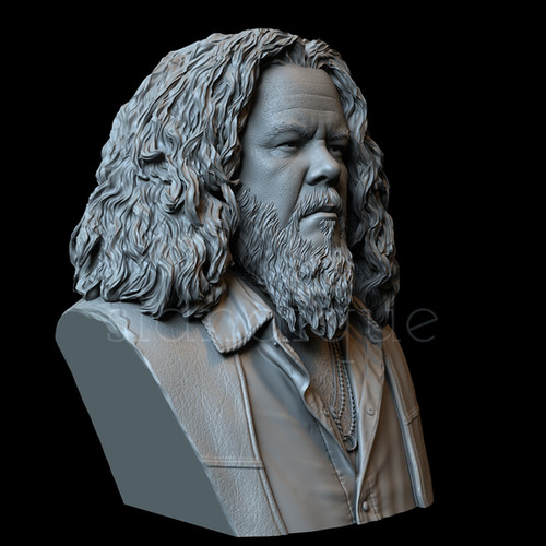 Mark Boone Jr. as Bobby Elvis | sidnaique
