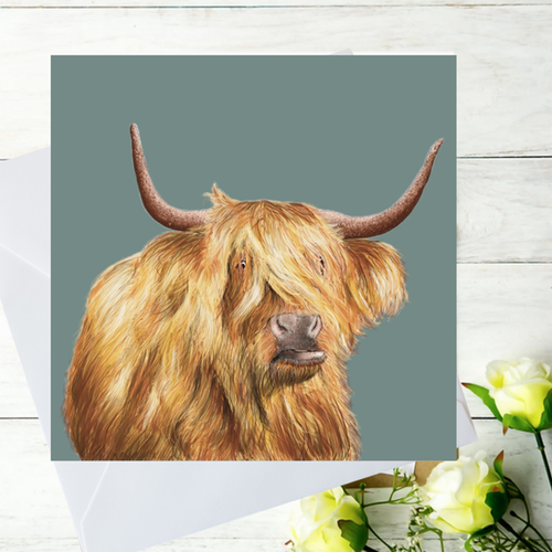 A handsome highland cow art greetings card on green background | Sophie ...