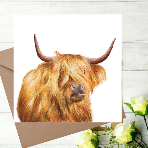 A handsome highland cow art greetings card | Sophie Borruso Art