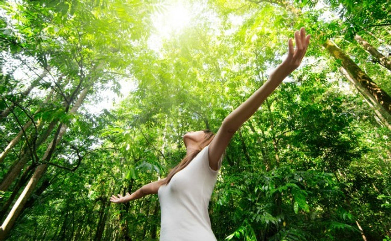 The connection between nature & wellbeing
