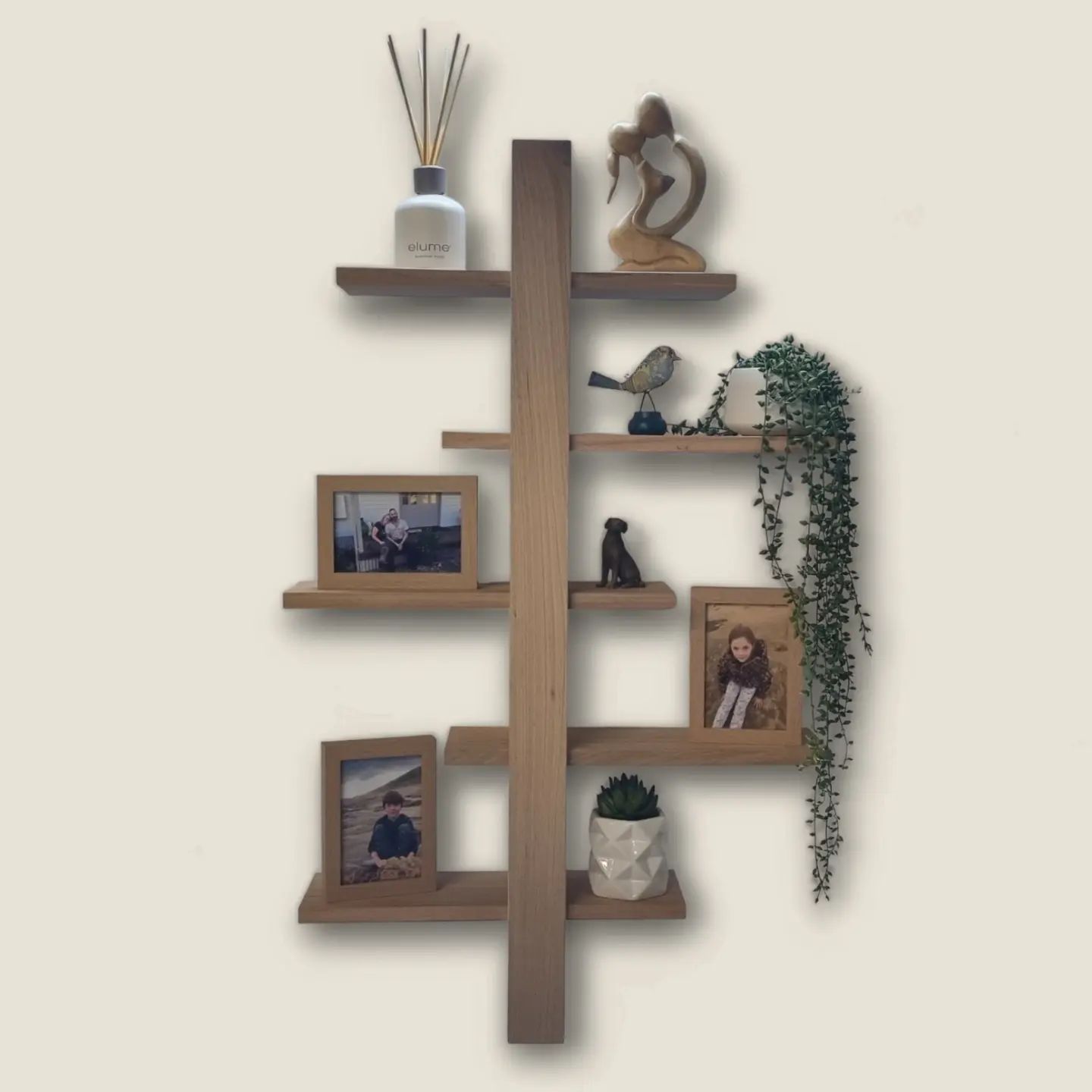 Tasmanian Oak Adjustable Floating Wall Display Shelf | Kaidan Designs