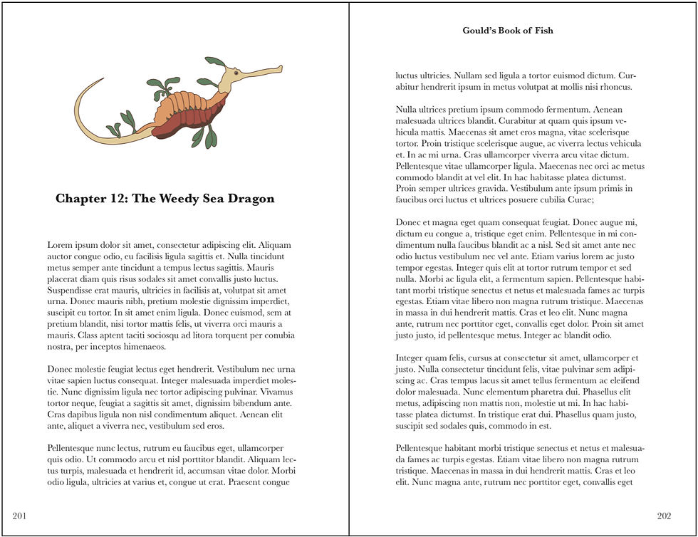 Illustrated Book Cover | Mysite