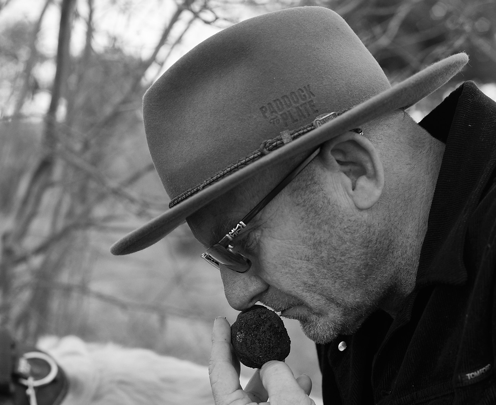 Food pairing with truffles - Truffle compounds and aroma.