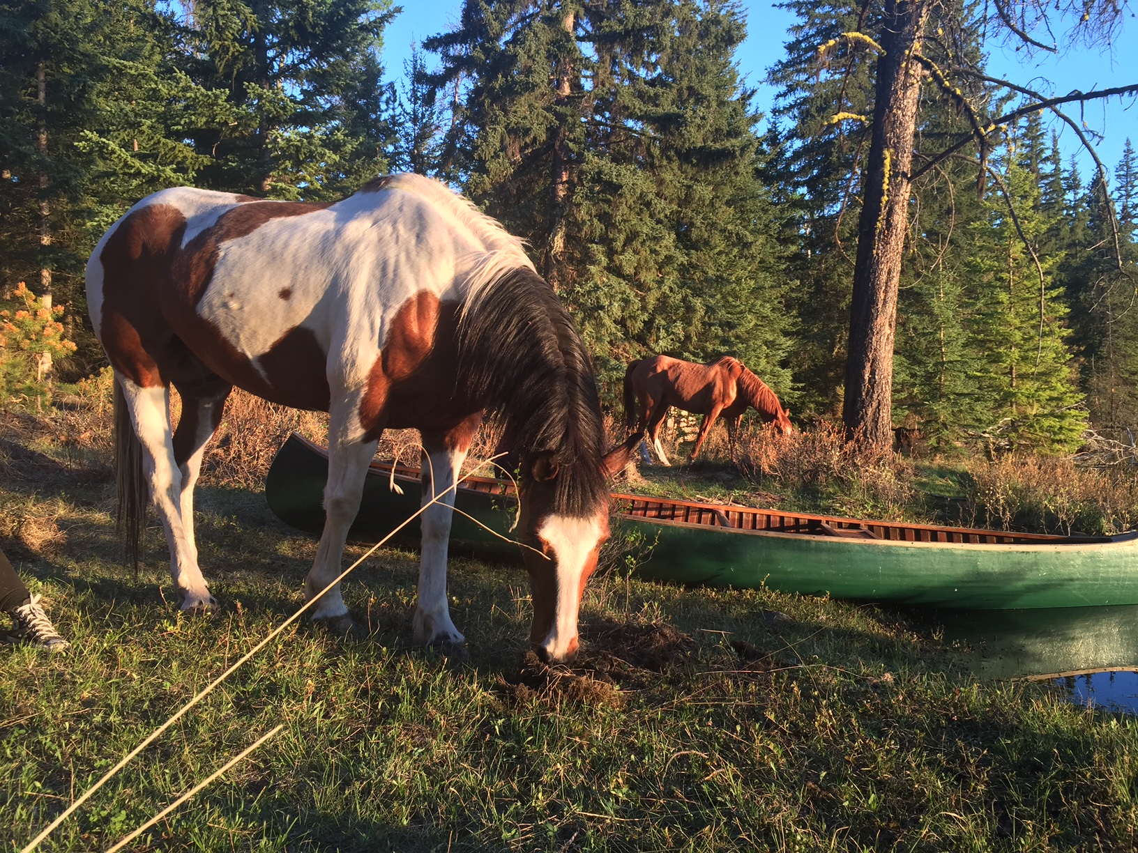 Unsupervised Horseback Riding | Flying U Ranch