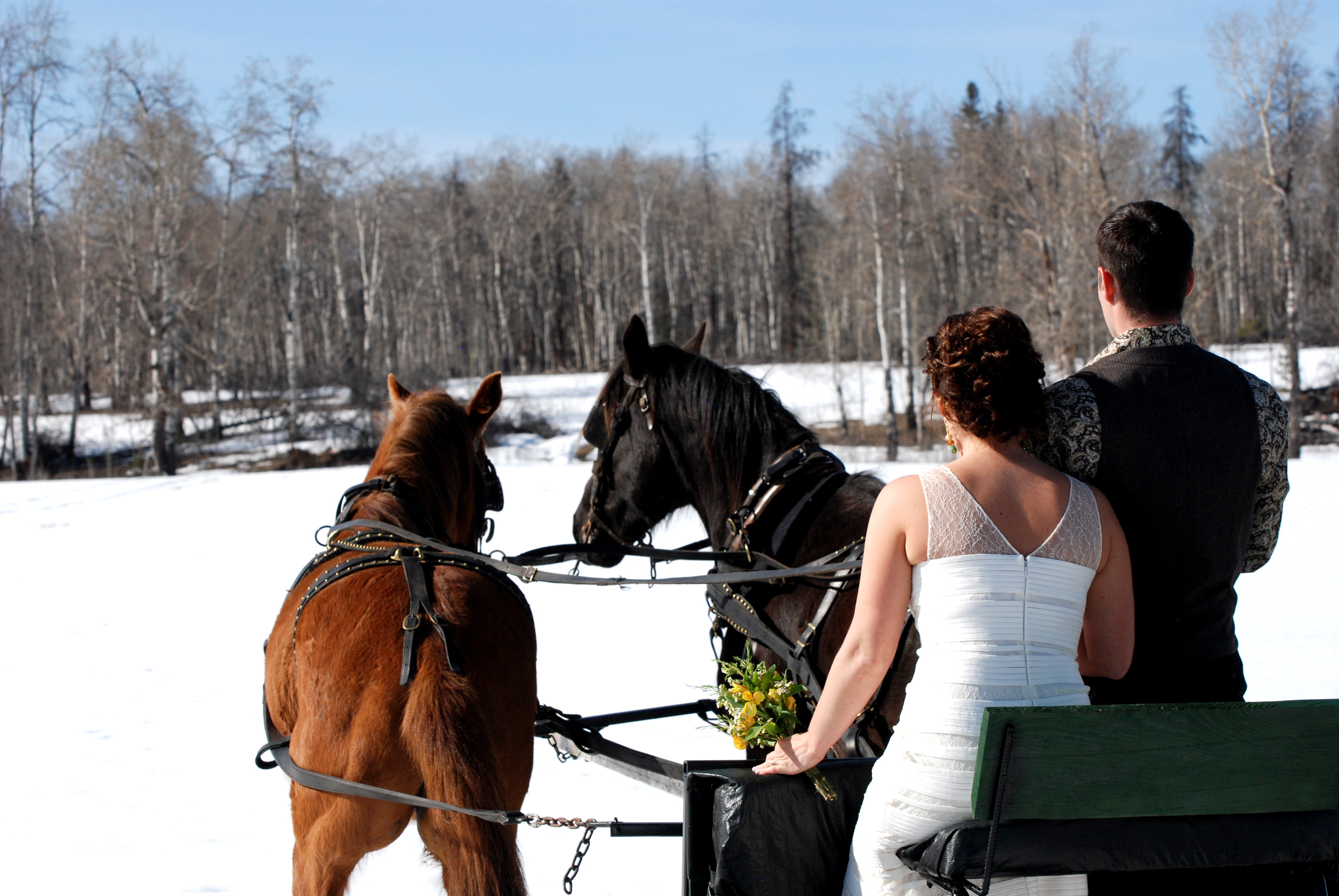 Weddings | Flying U Ranch