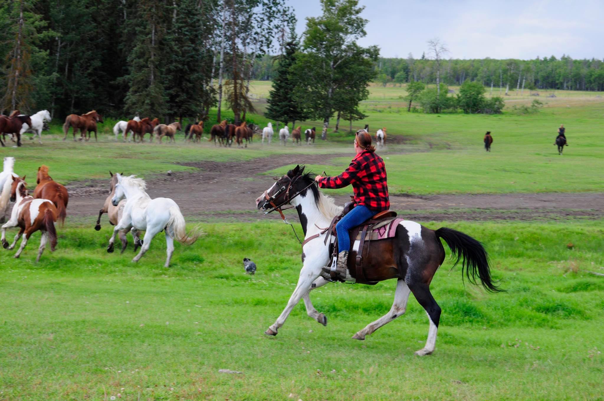 Unsupervised Horseback Riding | Flying U Ranch