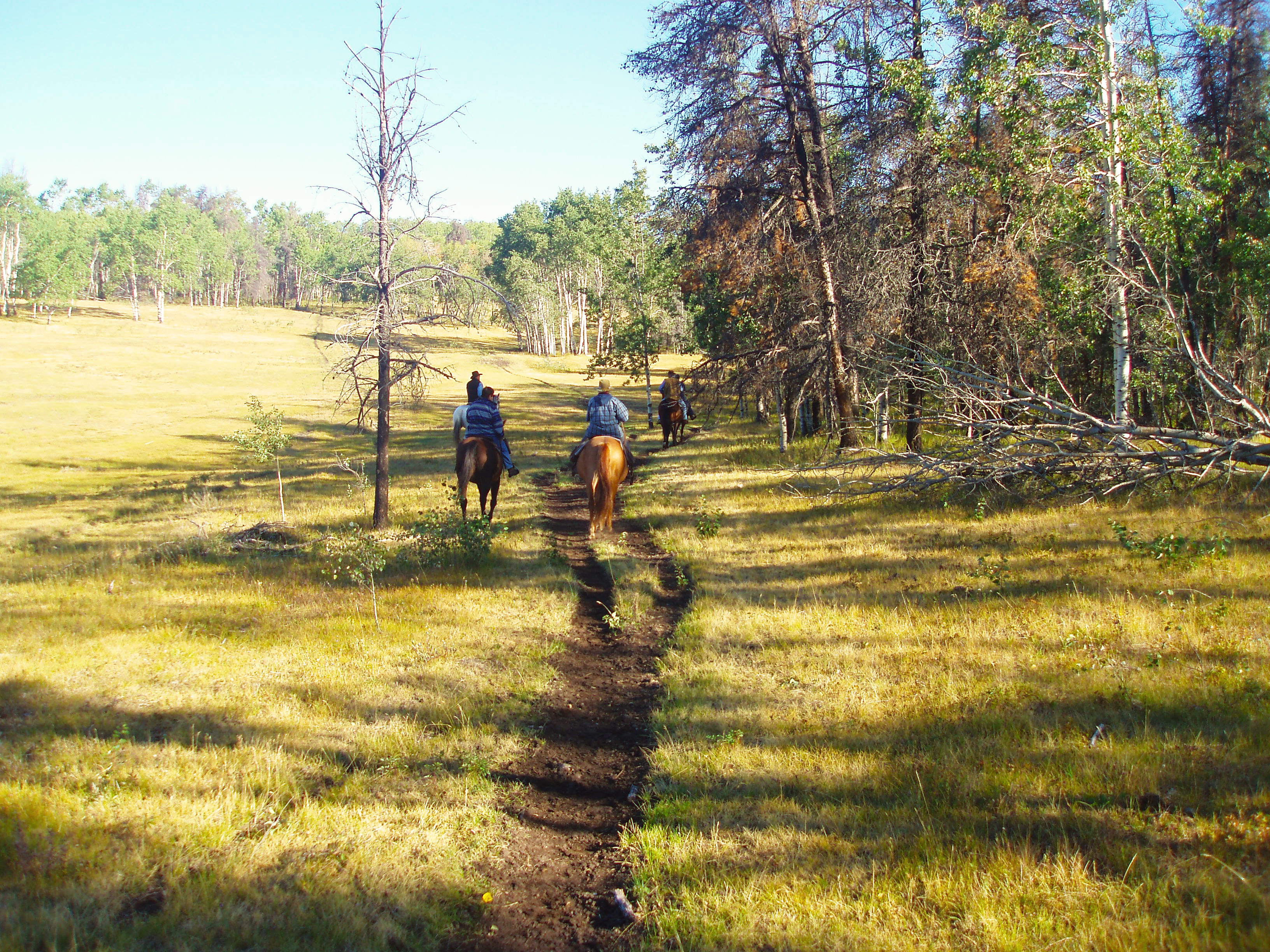 Unsupervised Horseback Riding | Flying U Ranch