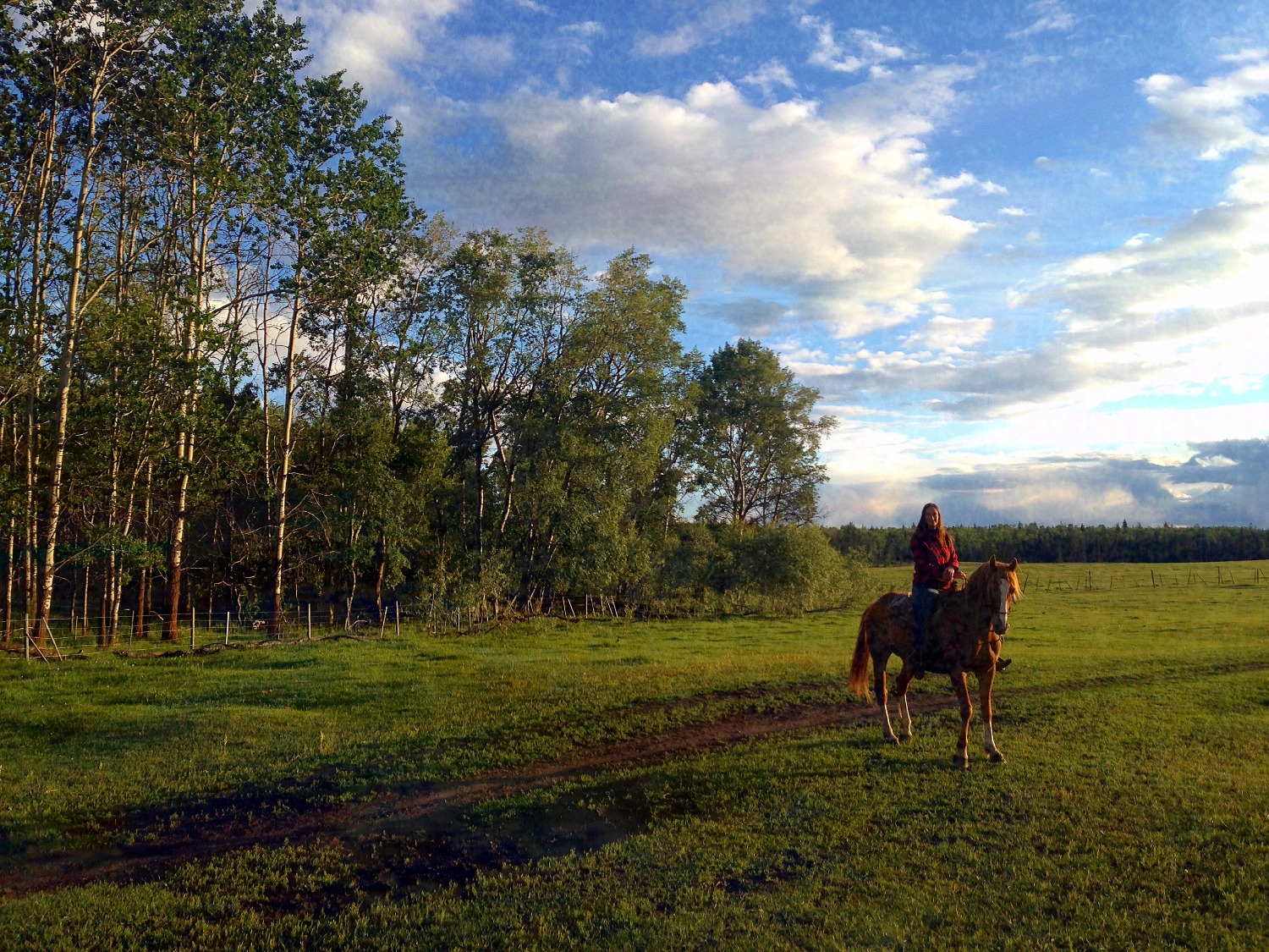 Unsupervised Horseback Riding | Flying U Ranch