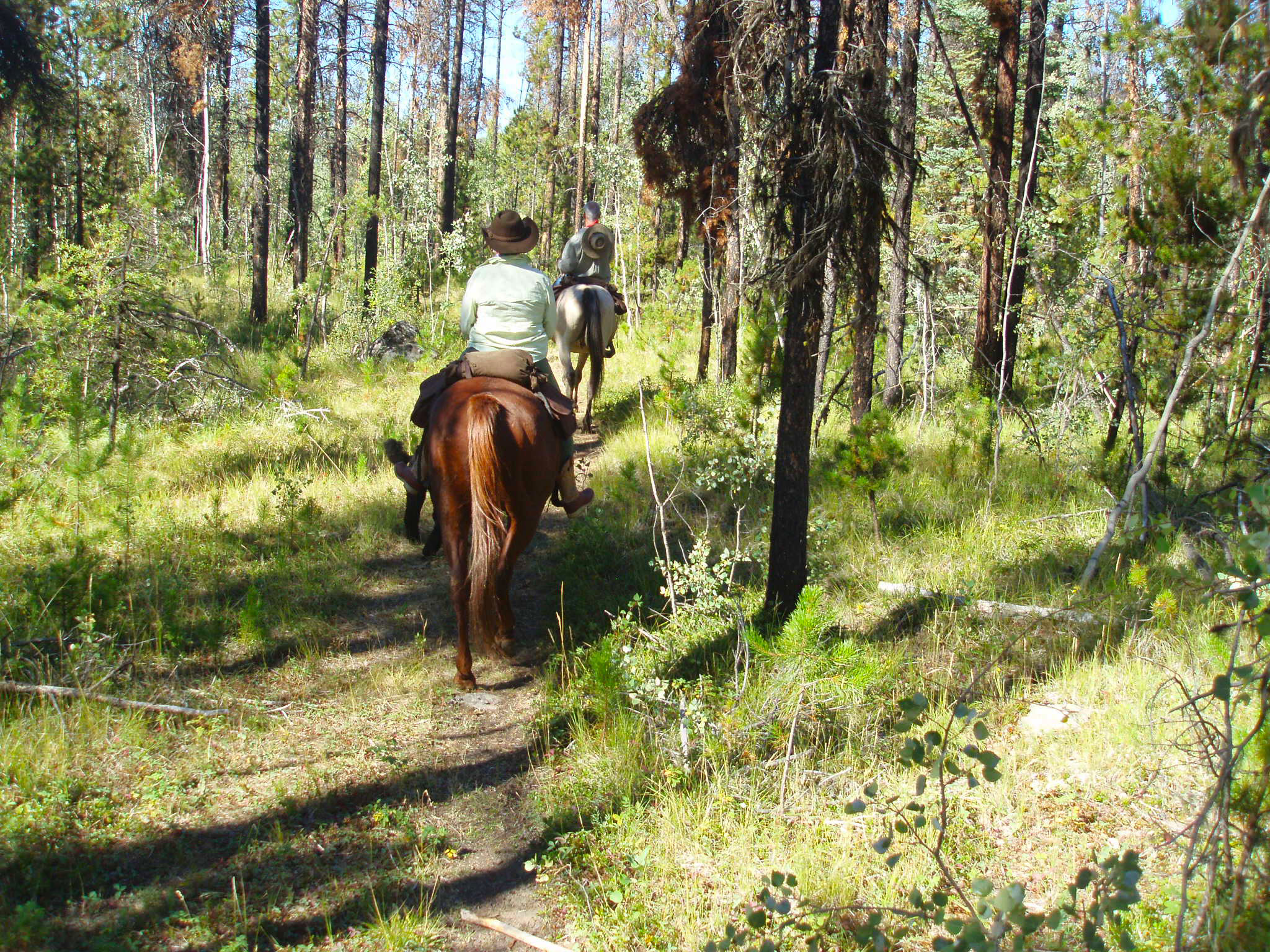 Unsupervised Horseback Riding | Flying U Ranch