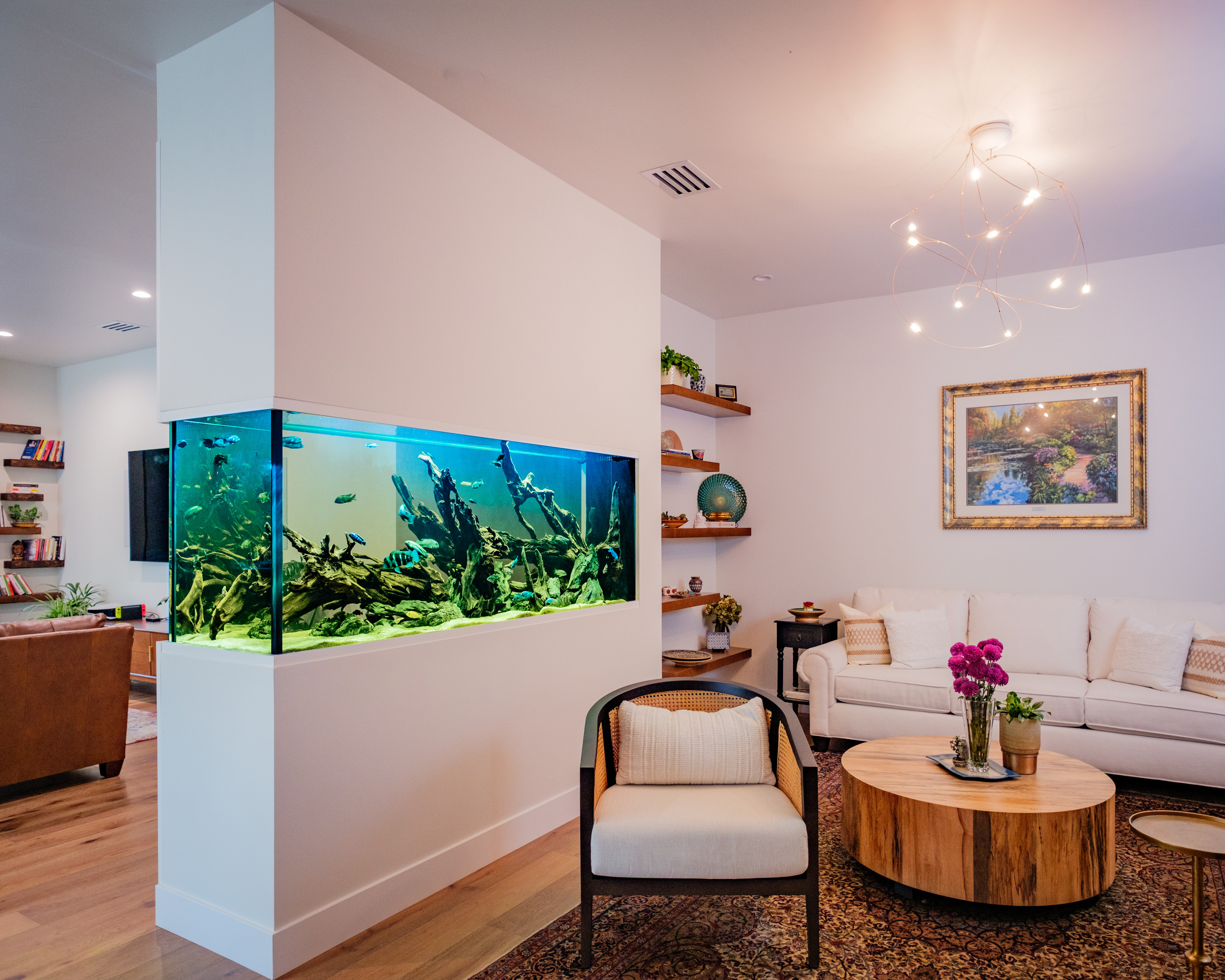 400 Gallon Freshwater Peninsula Aquarium