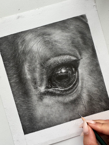 Graphite Horse Eye Masterclass | bethanyvere