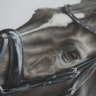 Bethany Vere Art | Gallery