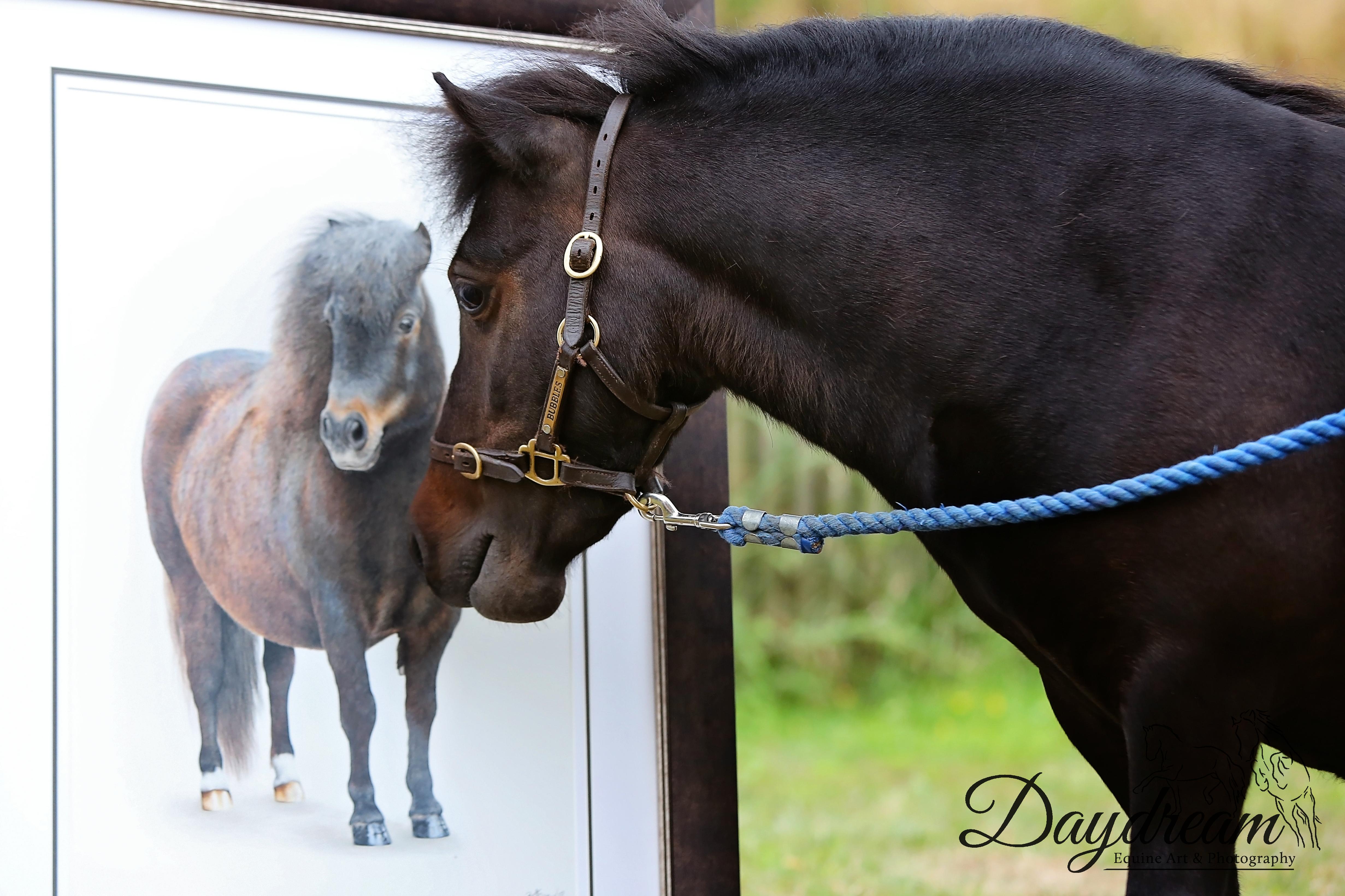 Bethany Vere | Gallery