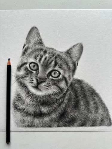 Graphite Tabby Cat Masterclass | bethanyvere