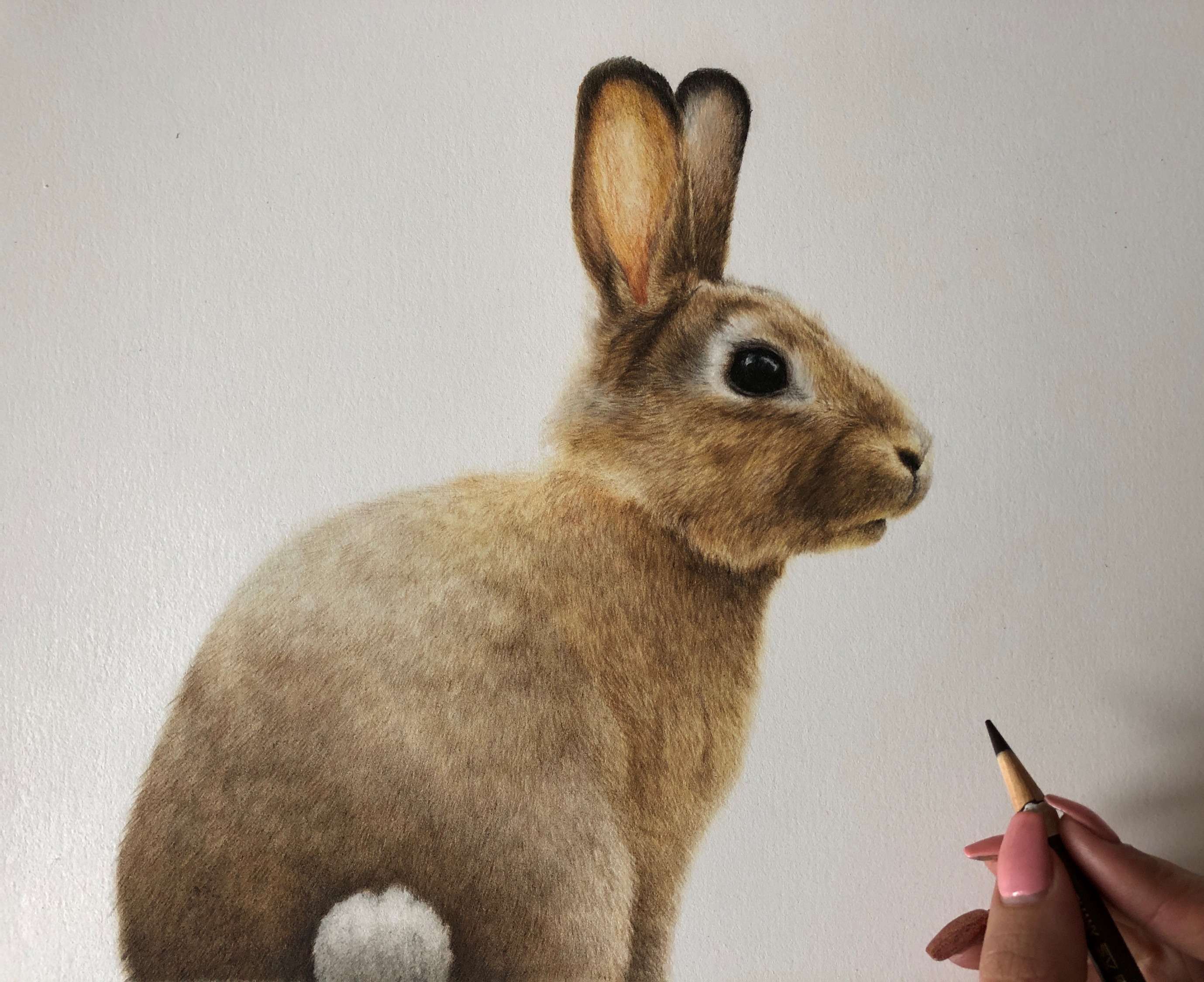 Bethany Vere Art | Gallery