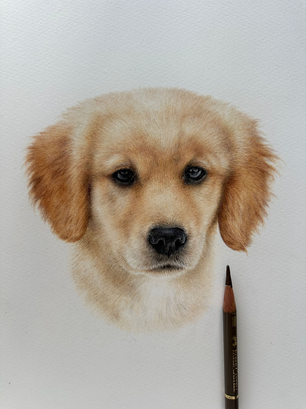 MASTERCLASSES | bethanyvere