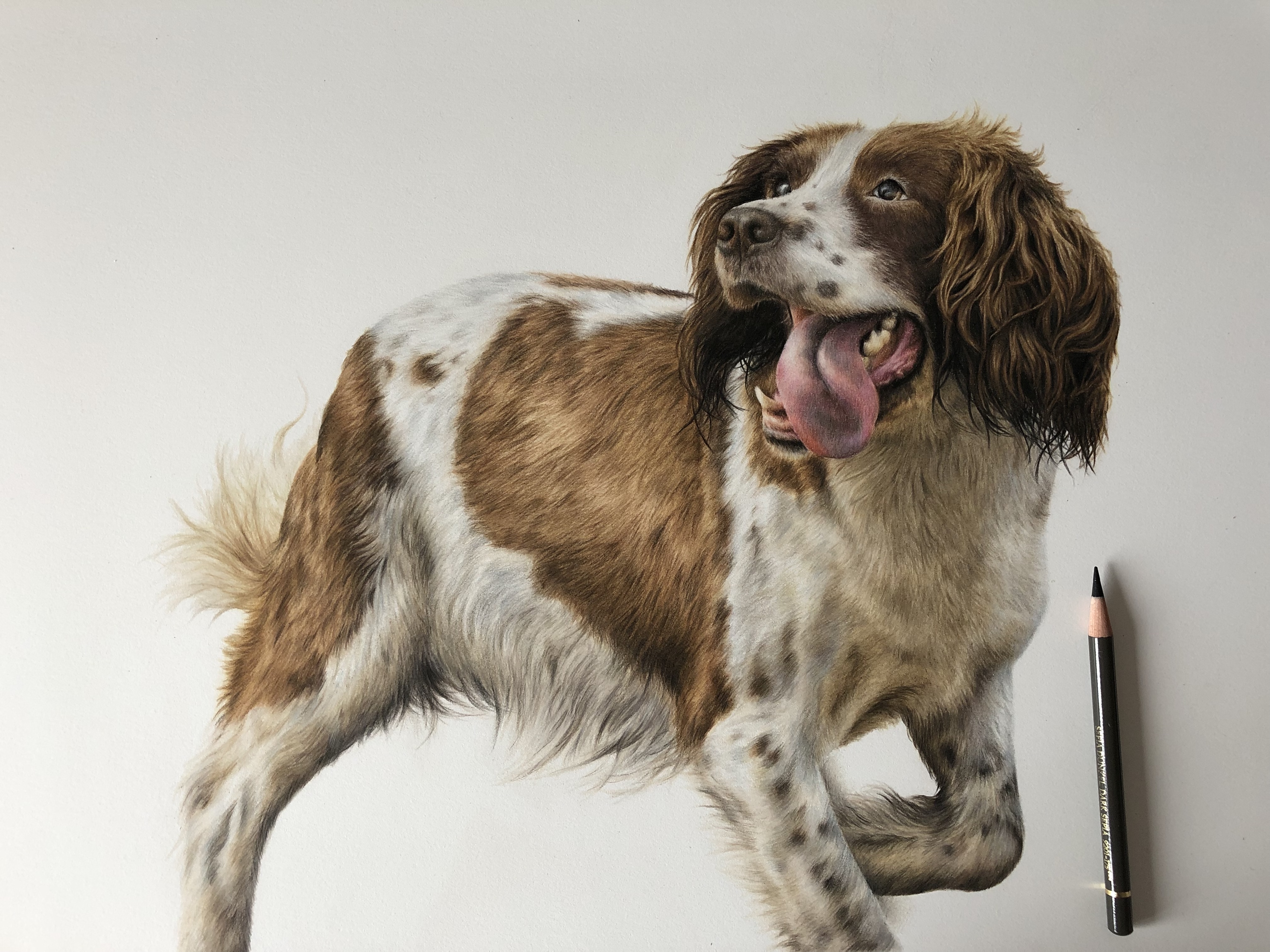 Bethany Vere Art | Gallery