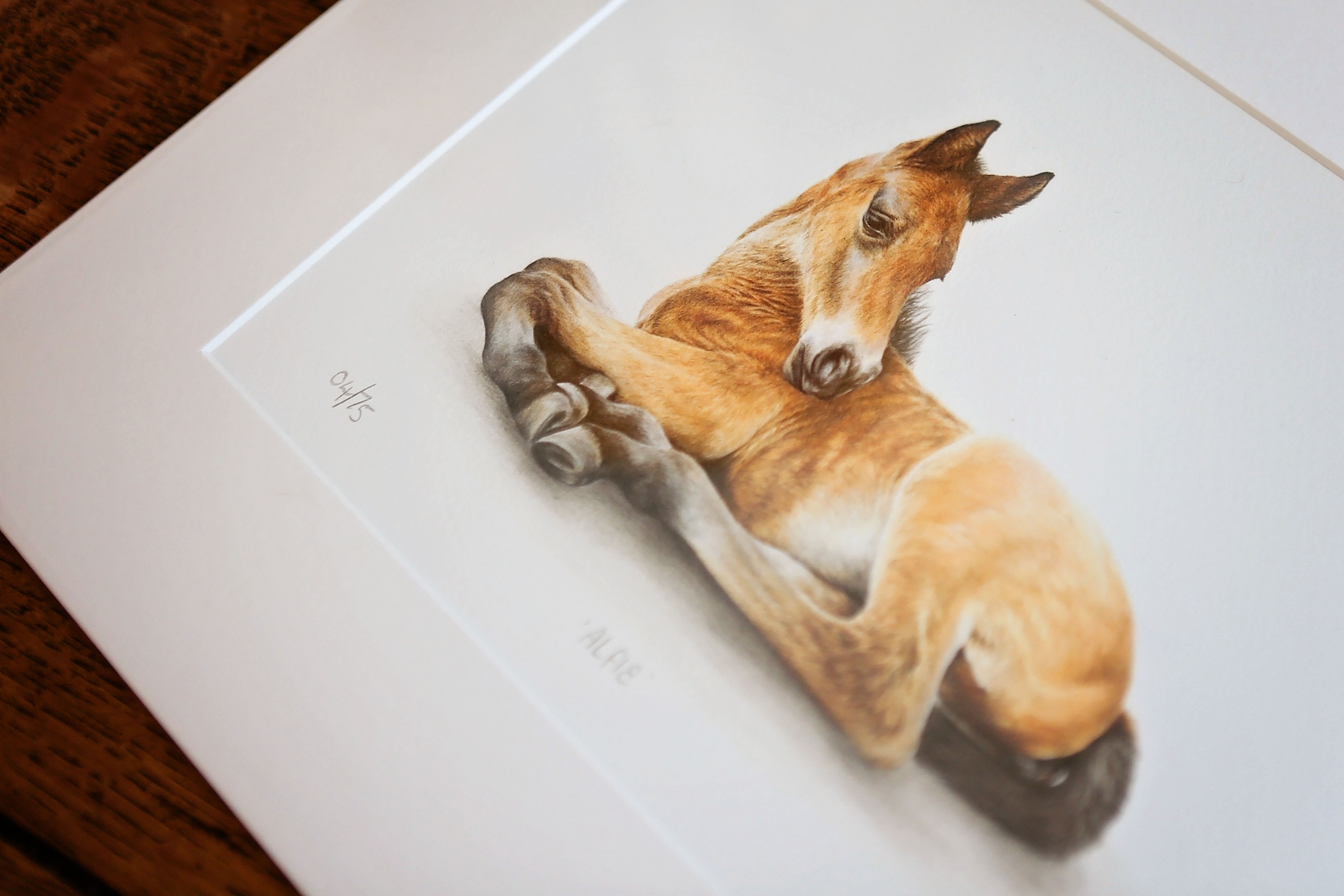 Bethany Vere Art | Gallery