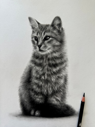 Graphite Tabby Cat Masterclass | bethanyvere