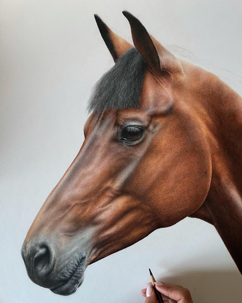 Bethany Vere Art | Commissions