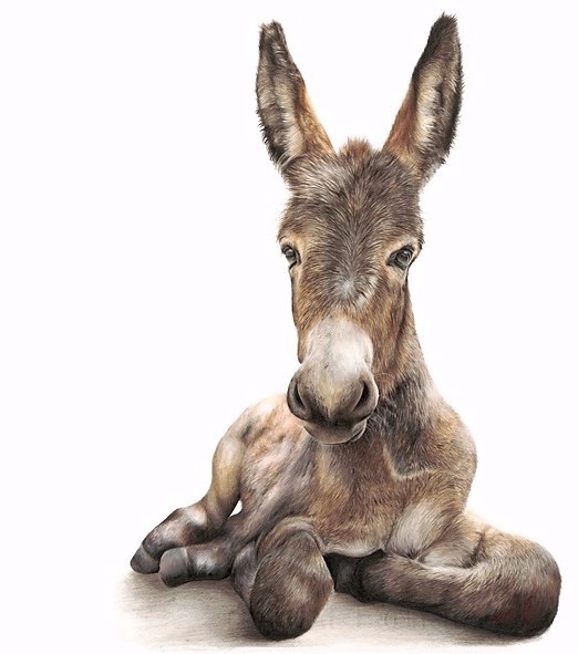 Bethany Vere | Gallery