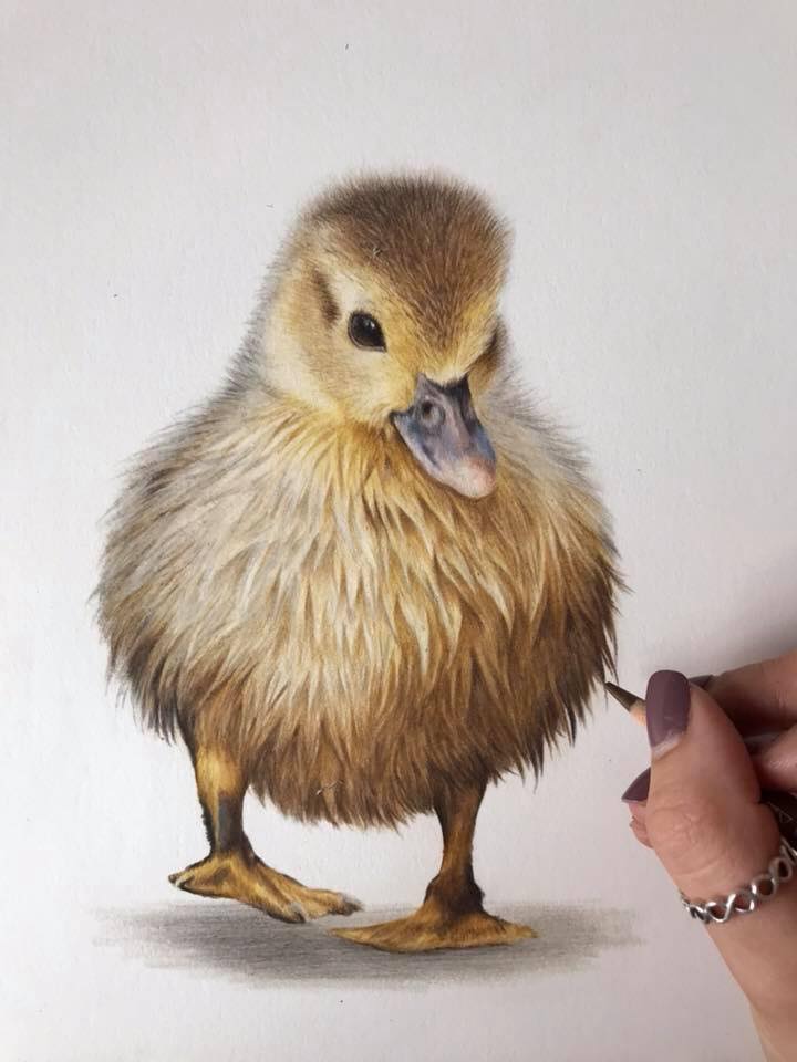 Bethany Vere Art | Gallery