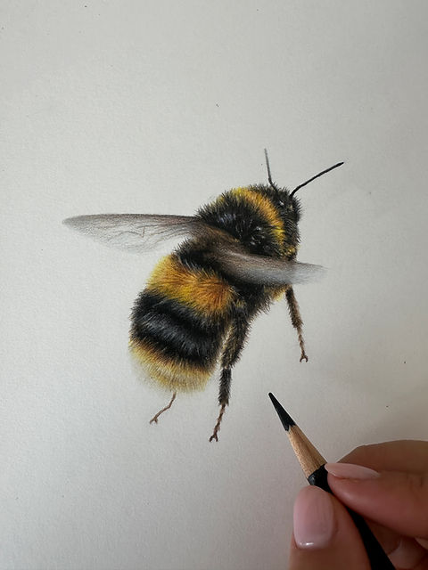 how to color a bumble bee