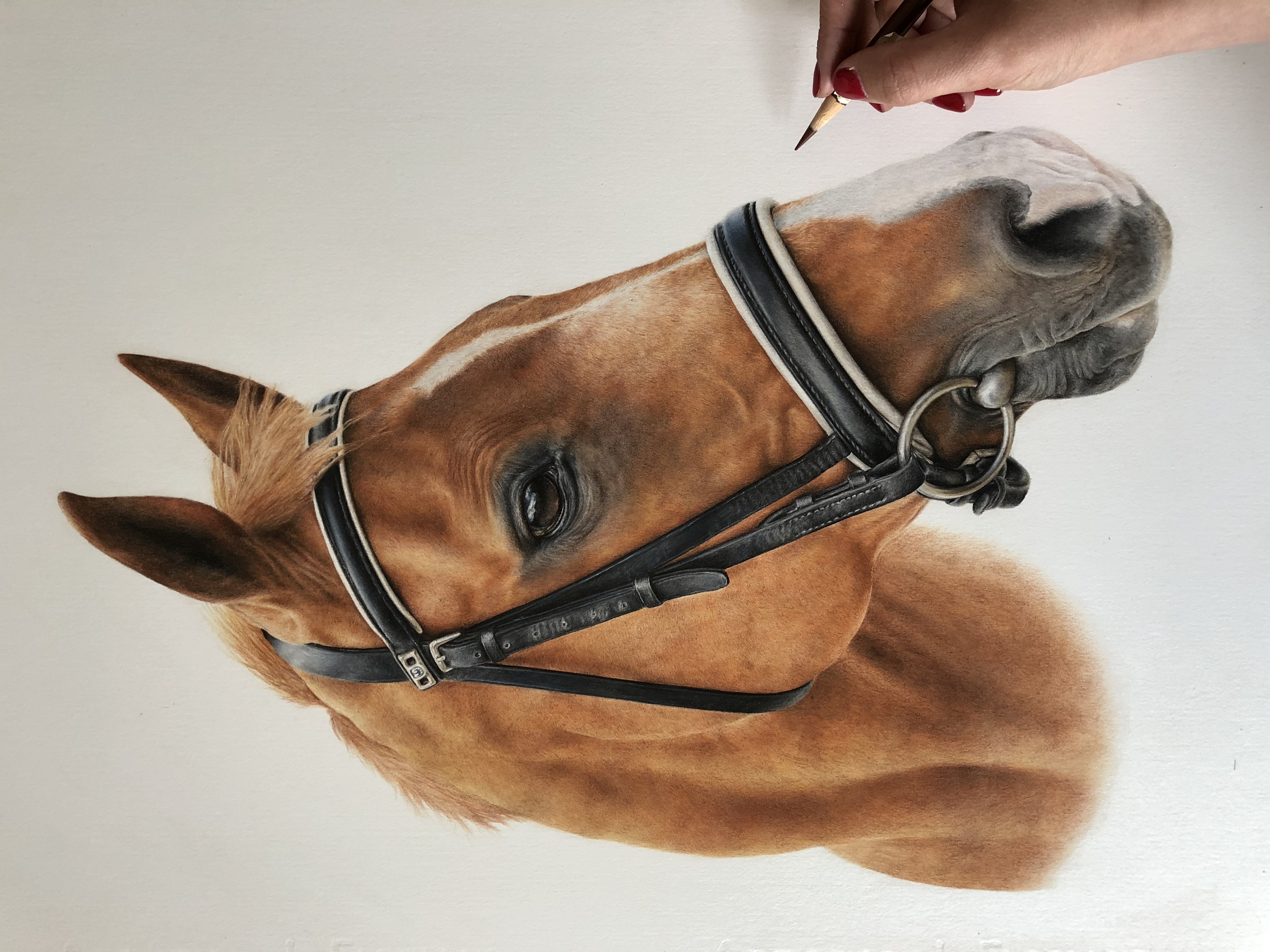 Bethany Vere Art | Gallery