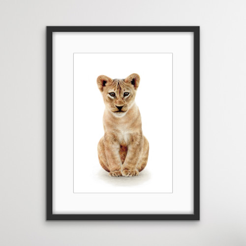Lion Cub Study | bethanyvere