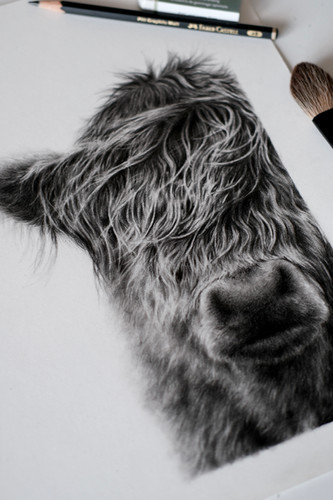 Graphite Highland Cow Masterclass | bethanyvere