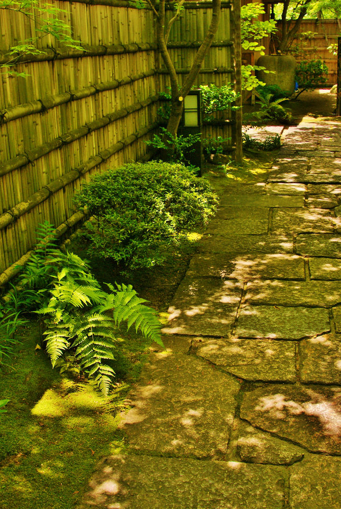 Japanese ‘roji’: a garden path to your mind and spirit—Part 1