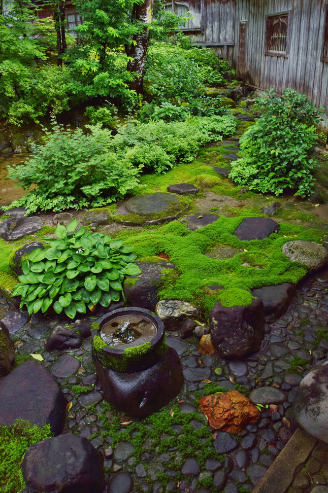 Japanese ‘roji’: a garden path to your mind and spirit—Part 1