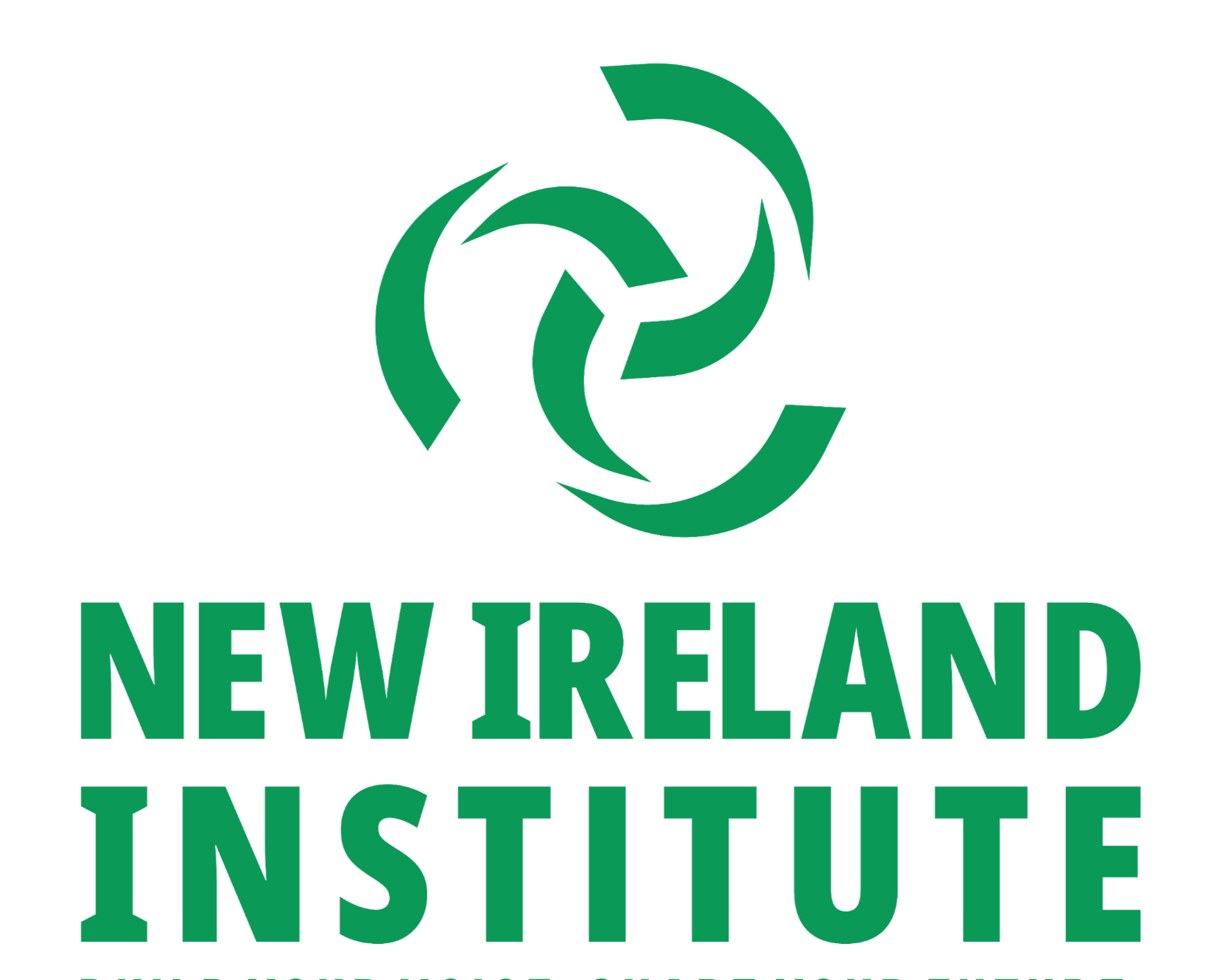 Visual Identity | New Ireland Institute
