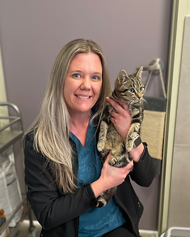 MEET THE TEAM | Manning Vet