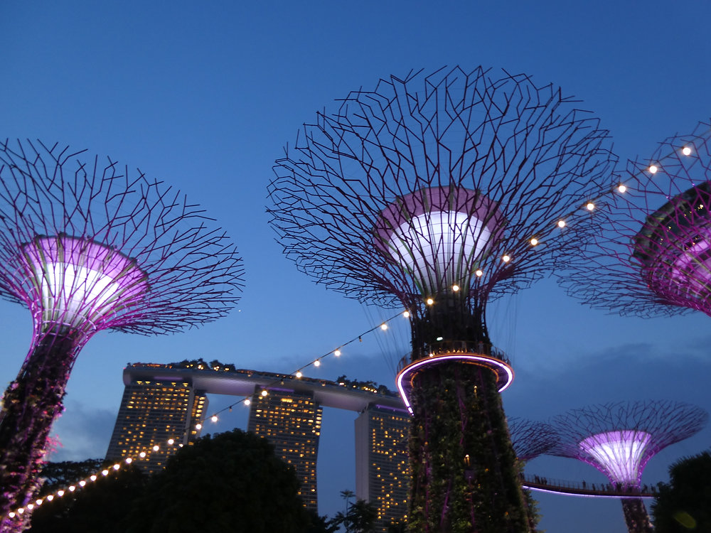 Zero Waste Singapore Guide