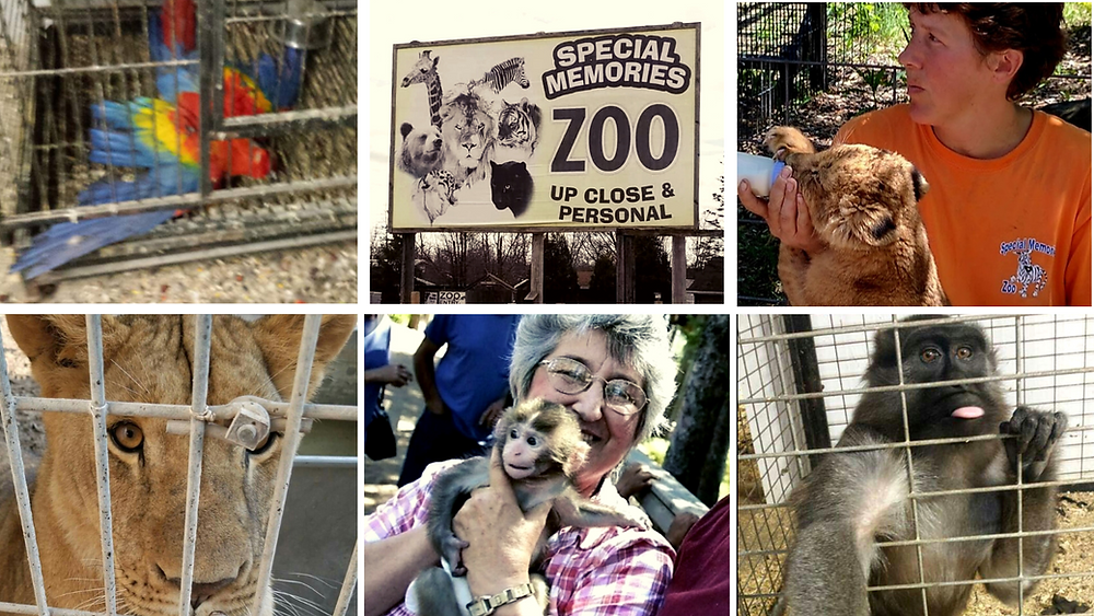 Special Memories Zoo owner and manager agree to pay Animal Legal ...