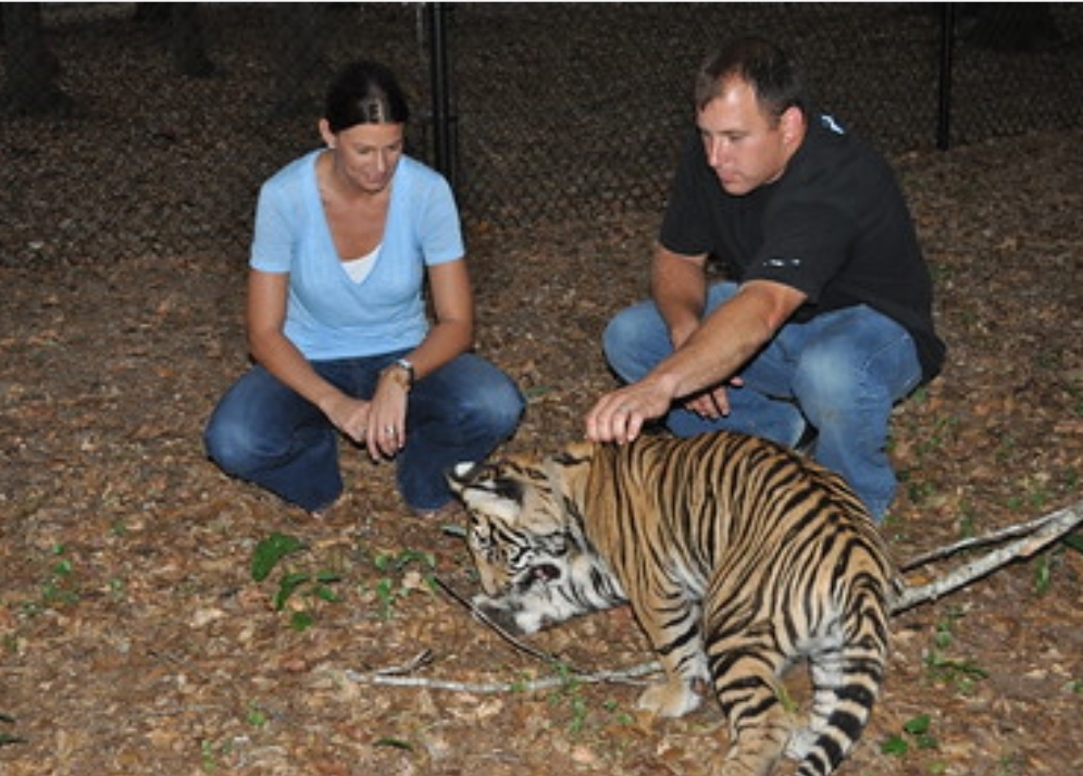 Videos show Allison Hedgecoth putting animals at risk at Noah's Ark ...