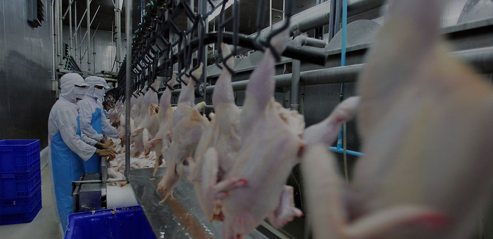 Chicken | West Frozen Foods