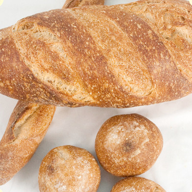 Sourdough Batard, Tom Cat Bakery | Share the Harvest