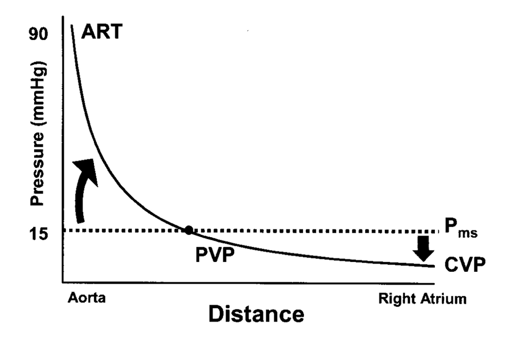 Physiology - CounterIntuition